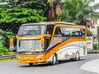 Rental & Sewa Bus Pariwisata Murah Terbaru 2025 - Salsa Wisata