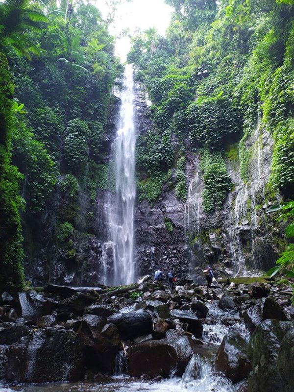 Curug Lawe Semarang: Harga Tiket Masuk 2025 & Lokasi