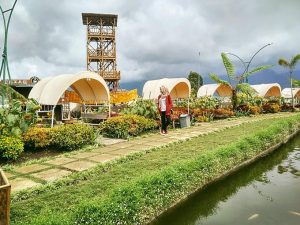 Desa Wisata Pujon Kidul: Sejarah, Foto, Harga Tiket Masuk 2026 & Lokasi