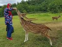 25 Tempat Wisata di Bogor Terbaru Yang Murah 2024