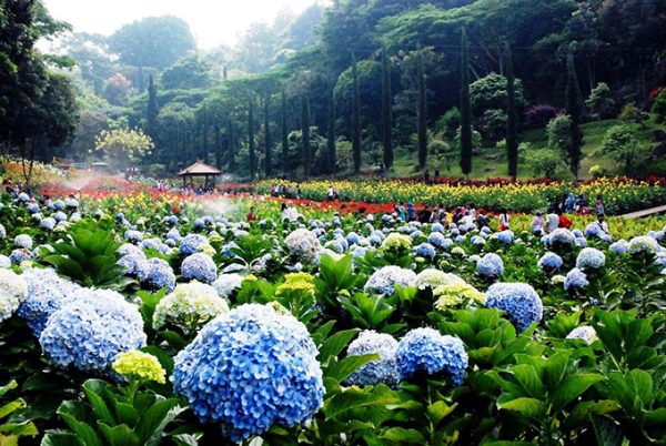 Taman Rekreasi Selecta Malang: Harga Tiket Masuk, Lokasi & Wahana
