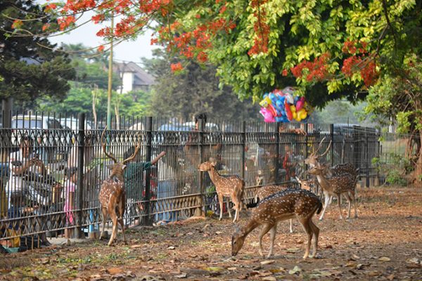 18 Tempat Wisata Bekasi Murah, Instagramable Terbaru 2024