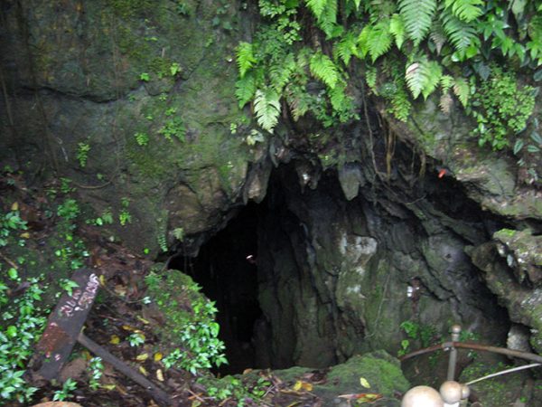 26 Tempat Wisata Kulon Progo yang Lagi Hits Terbaru 2026