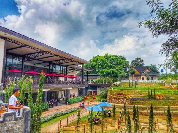 26 Tempat Wisata Puncak Bogor Yang Bagus, Hits Terbaru 2025