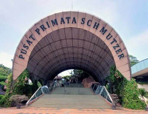 Kebun Raya Bedugul: Lokasi, Harga Tiket Masuk 2024