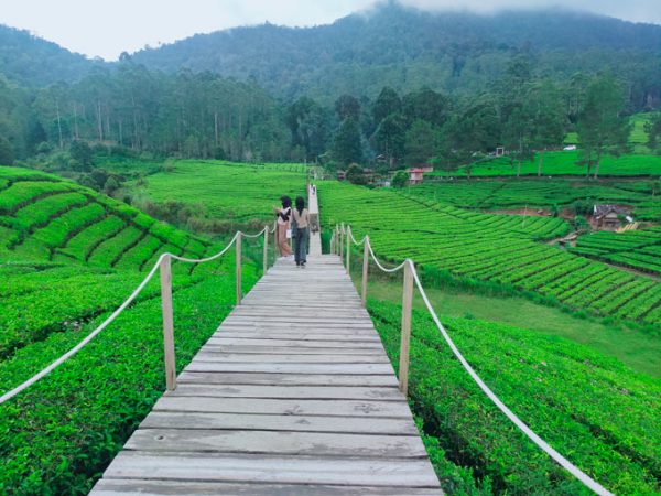 12 Tempat Wisata Pangalengan Yang Lagi Hits Terbaru 2025