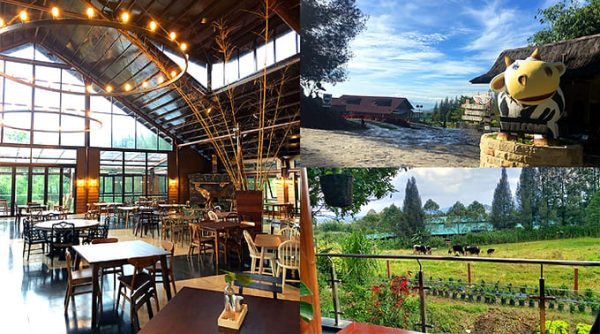 15 Tempat Wisata di Berastagi yang Lagi Hits Terbaru 2025