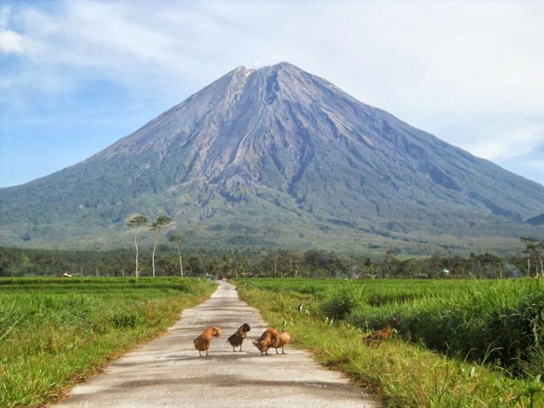 10 Gunung Di Jawa Timur Terbagus Untuk Pendaki Pemula