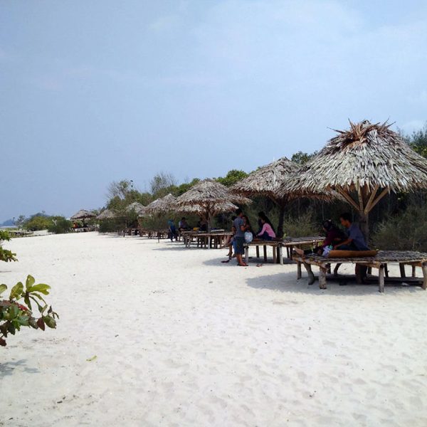 Pantai Mangrove Medan: Sejarah, Harga Tiket Masuk, Lokasi & Fasilitas