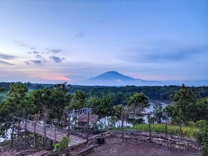 16 Tempat Wisata di Ngawi yang Lagi Hits Terbaru 2025