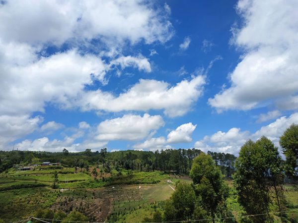 Bukit Indah Simarjarunjung: Harga Tiket Masuk, Lokasi & Jam Buka