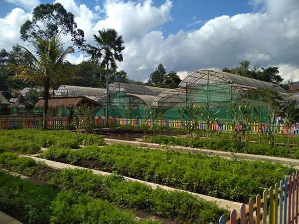 14 Tempat Study Tour Bandung yang Murah dan Bagus