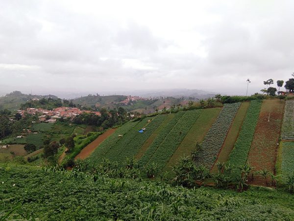 Puncak Bintang Bandung: Harga Tiket Masuk, Lokasi & Daya Tarik