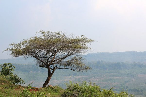 18 Tempat Wisata di Tuban Terbaru yang Lagi Hits 2025