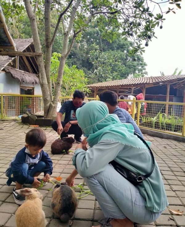 Agrowisata Bhumi Merapi, Harga Tiket, Lokasi & Spot Foto Terbaru