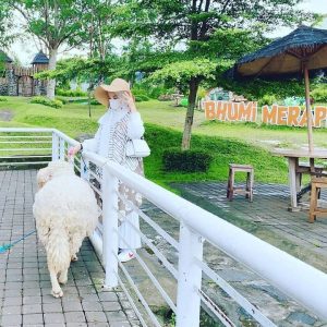 Agrowisata Bhumi Merapi, Harga Tiket, Lokasi & Spot Foto Terbaru