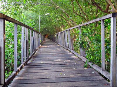 17 Tempat Wisata Gresik Yang Terkenal Paling Hits 2025