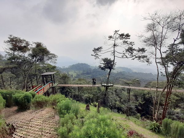 Bukit Halimun: Harga Tiket Masuk, Lokasi & Daya Tarik