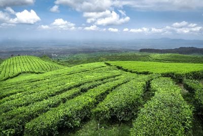 18 Tempat Wisata Di Lumajang Yang Terkenal Lagi Hits 2025