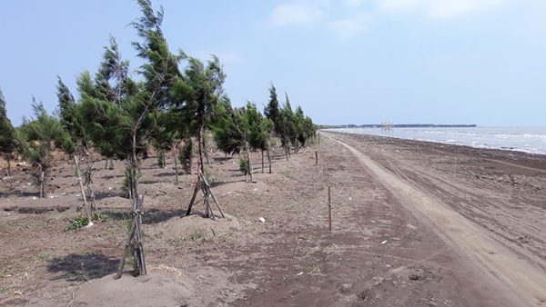 18 Tempat Wisata Di Indramayu Yang Lagi Hits Terbaru 2025