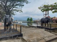 Kampoeng Rawa: Daya Tarik, Harga Tiket Masuk & Lokasi