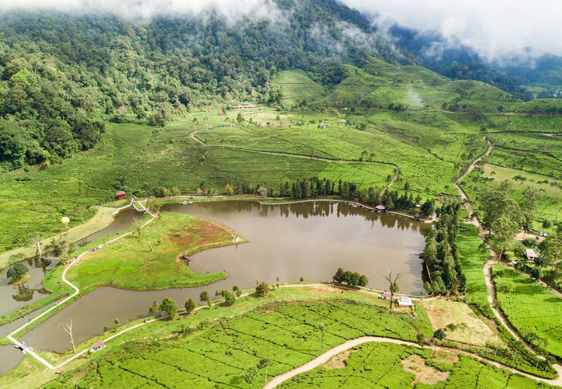 Telaga Saat Puncak: Harga Tiket Masuk, Lokasi & Penginapan