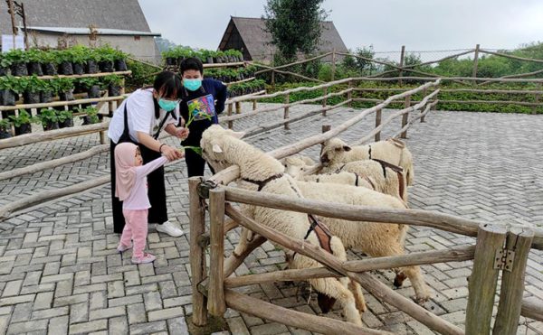 The Ranch Ciater Subang: Harga Tiket Masuk, Lokasi & Daya Tarik