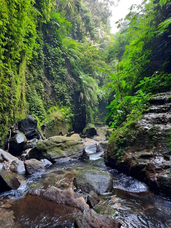 Curug Walet: Harga Tiket Masuk, Lokasi & Daya Tarik
