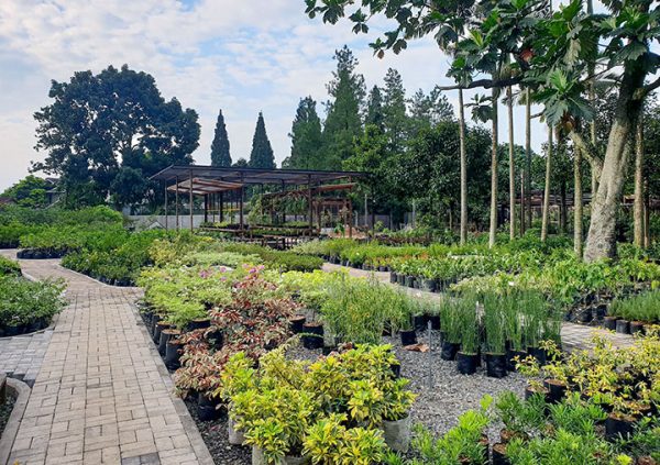 Kuntum Farmfield: Harga Tiket Masuk, Lokasi & Jam Buka