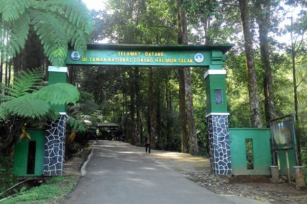Lokasi dan Tiket Masuk Gunung Bunder Camping Site