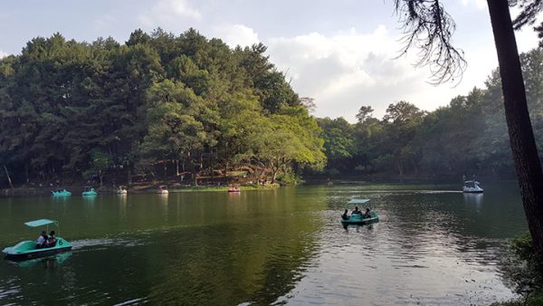 Telaga Remis: Lokasi, Jam Buka, dan Tiket Masuk Terbaru 2025