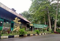 Agrowisata Gunung Mas: Lokasi, Fasilitas, & Tiket Masuk 2025
