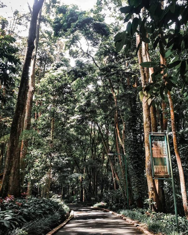 Wisata Dago Pakar: Tiket Masuk, Lokasi & Daya Tarik