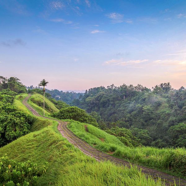 Campuhan Ridge Walk Bali: Tiket Masuk, Lokasi & Daya Tarik