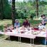 Jungle Milk Lembang: Lokasi, Jam Buka & Harga Tiket 2025