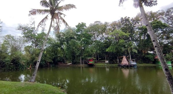 Taman Wisata Alam Mayang Pekanbaru: Alamat, Jam Buka & Rute