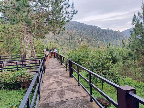 Patuha Resort: Lokasi, Fasilitas, Daya Tarik & Tarif Menginap 2025