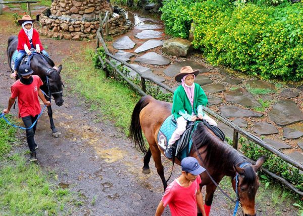 The Ranch Puncak: Lokasi, Fasilitas, Jam Buka & Harga Tiket 2025