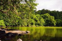 Pulau Bawean: Lokasi, Daya Tarik & Harga Tiket Masuk 2025