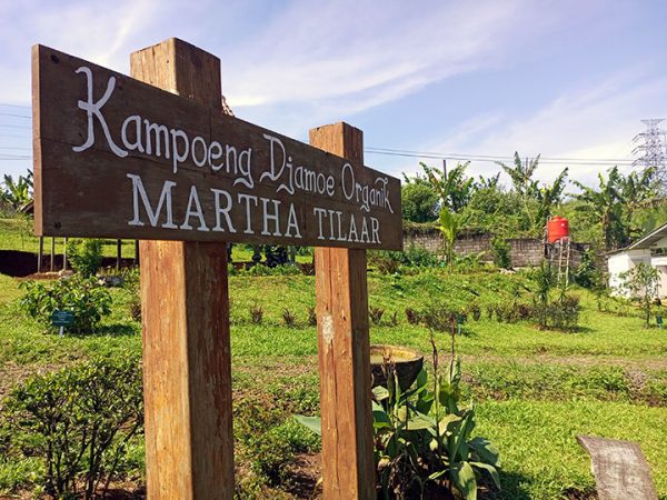 Tempat Wisata Di Cikarang Yang Lagi Hits & Instagramable