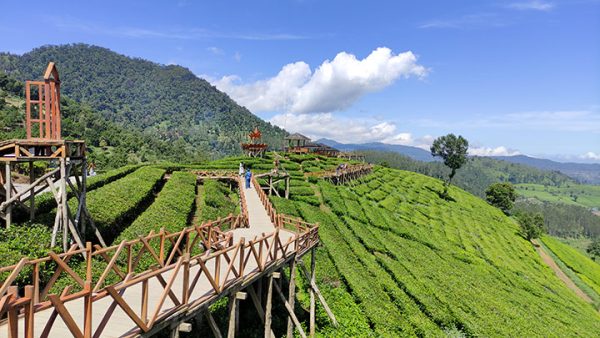 Wayang Windu: Lokasi, Rute, Jam Buka & Harga Tiket 2025