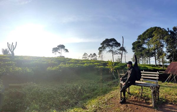 Pondok Halimun: Alamat, Jam Buka, Fasilitas & Harga Tiket 2025