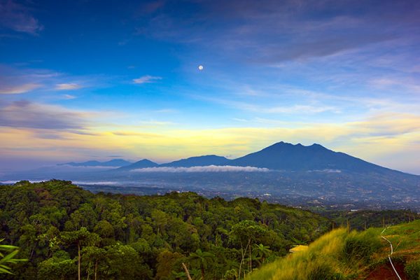 Pondok Halimun: Alamat, Jam Buka, Fasilitas & Harga Tiket 2025