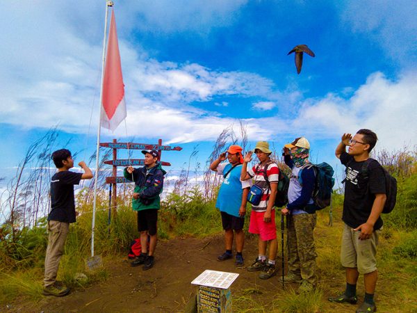 Gunung Wilis: Lokasi, Misteri, Jalur Pendakian & Harga Tiket 2025