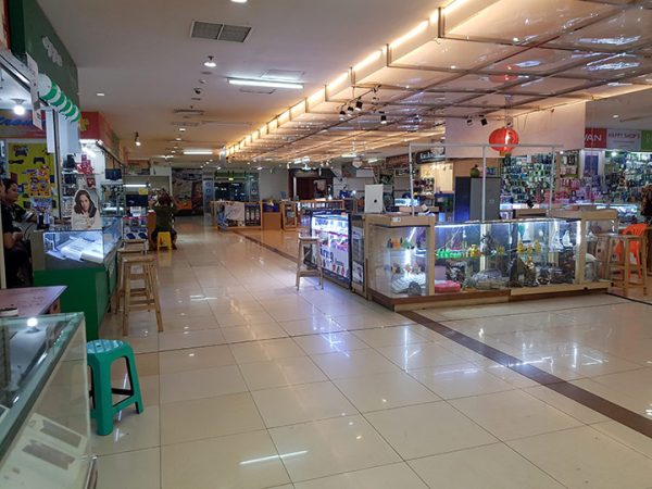 TM Seasons City: Alamat, Jam Buka, Fasilitas & Daftar Tenant