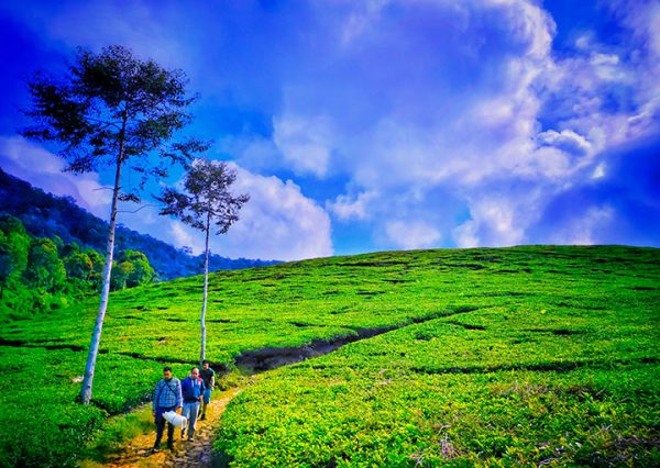 Gunung Kencana Bogor: Lokasi, Jam Buka. dan Tiket 2025