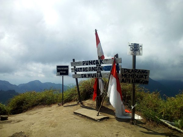 Gunung Muria: Lokasi, Asal-usul, Daya Tarik & Harga Tiket 2025