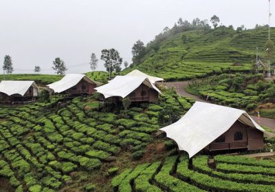 Glamping Lakeside Rancabali Review: Harga, Lokasi, Jam Buka