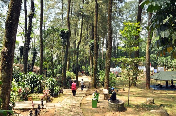 Curug Cijalu: Lokasi, Rute, Jam Buka & Harga Tiket Masuk 2025