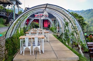 Lereng Anteng Panoramic Coffee: Lokasi, Jam Buka & Tiket